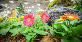 Northwest Flower & Garden Festival | February 26-March 1, 2020 ...